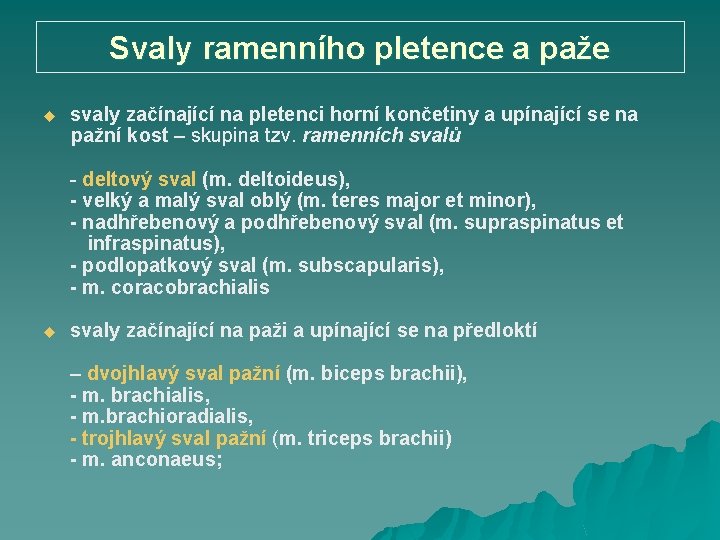 Svalov soustava Stavebn principy svalov tkn u sval