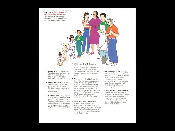 Lifes Stages and Human Needs Chapter 3 Section