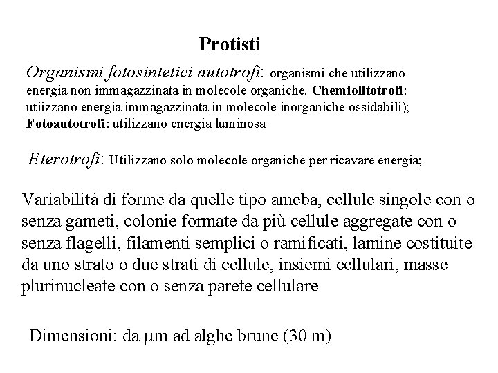 Protisti Organismi fotosintetici autotrofi organismi che utilizzano energia