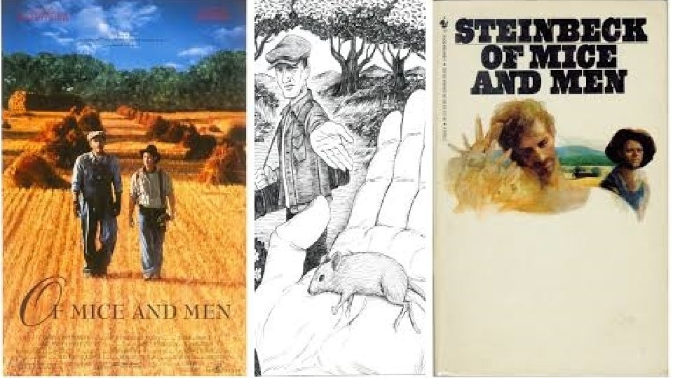 Unit 3 18 The Tone of Satire By