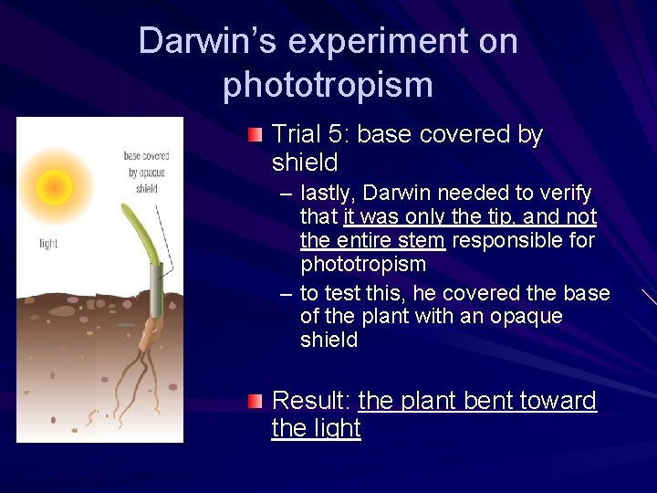 Science 10 Unit C BIOLOGY Chapter 3 Plants