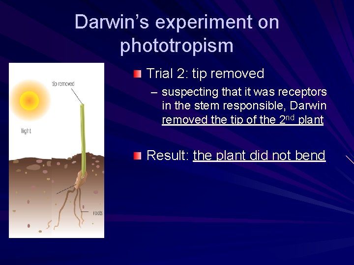 Science 10 Unit C BIOLOGY Chapter 3 Plants