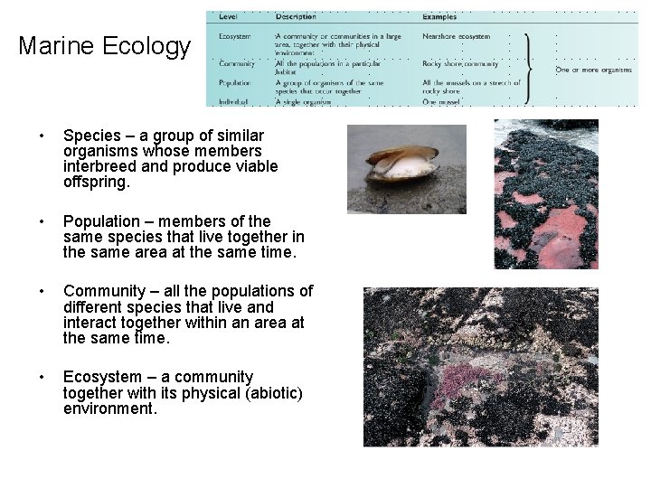 Marine Ecology Species a group of similar organisms