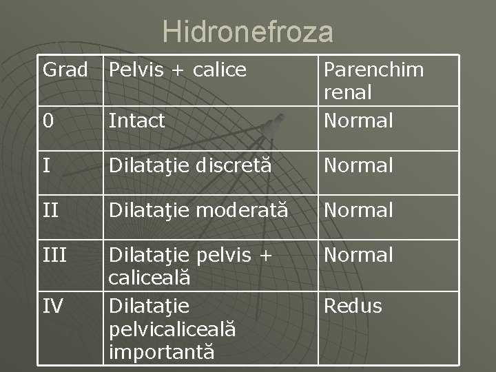 Malformaiile tractului urinar la copil abordare nefrologica Conf