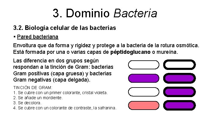 Tema 16 Microbiologa Parte II Eucariotas bacterias y