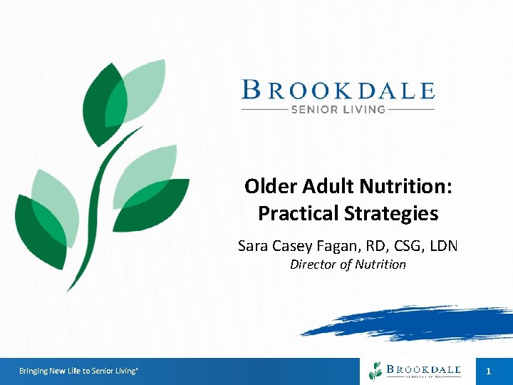 Older Adult Nutrition Practical Strategies Sara Casey Fagan