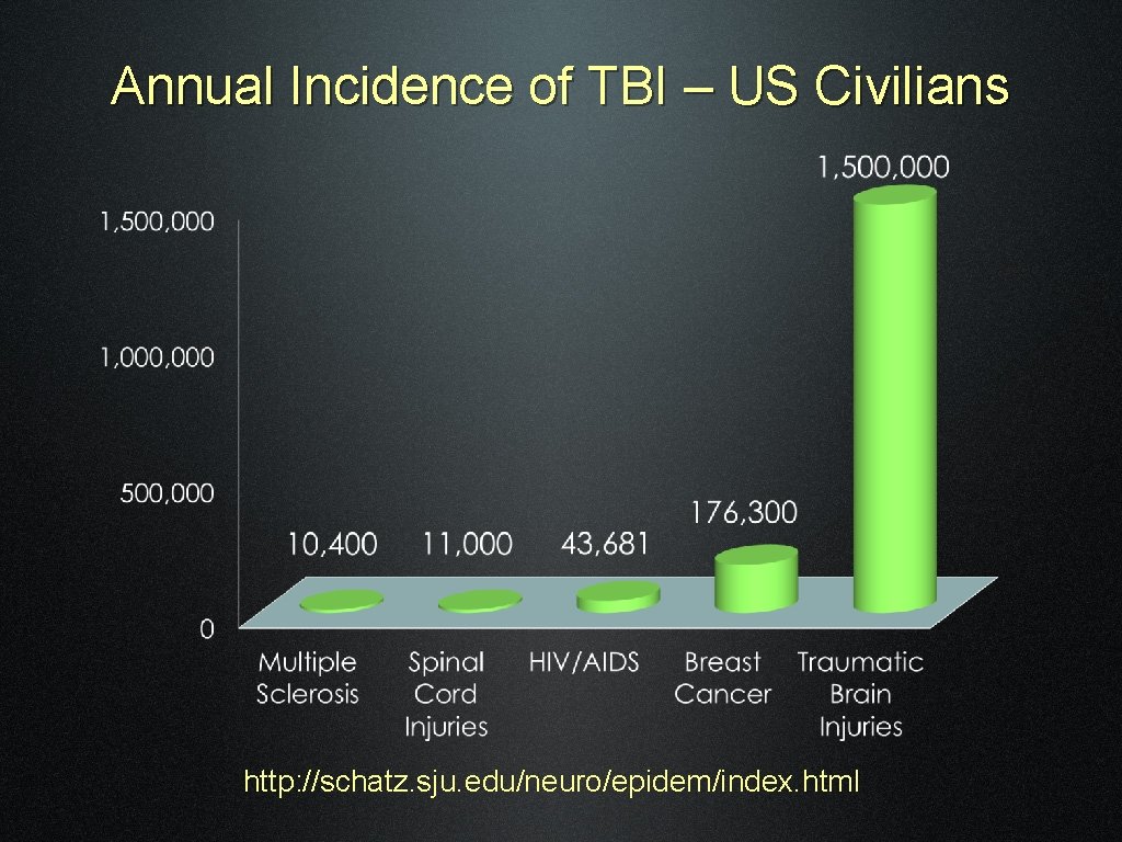 Returning Veterans Traumatic Brain Injury TBI Ellen Crouse