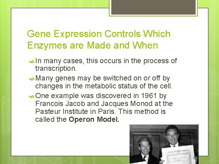 Gene Expression AP Biology Questions to Ponder How