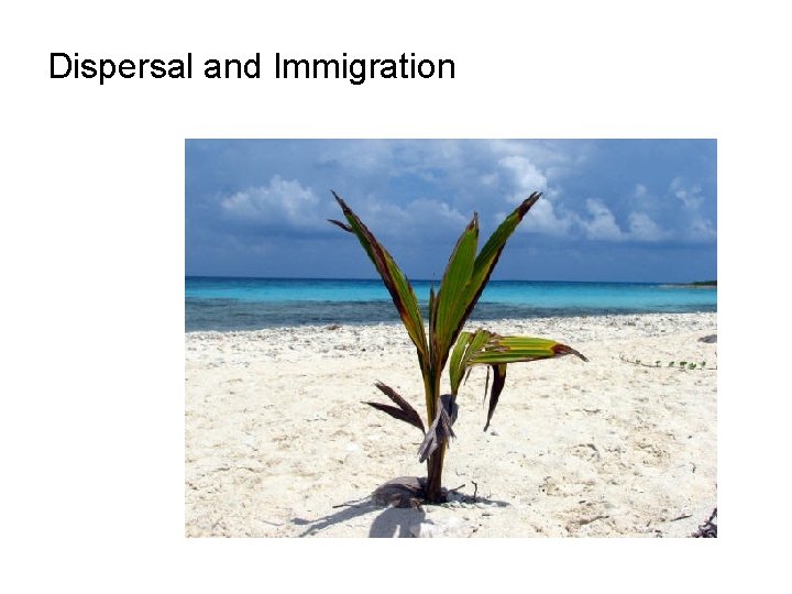 Dispersal and Immigration There are several fundamental processes