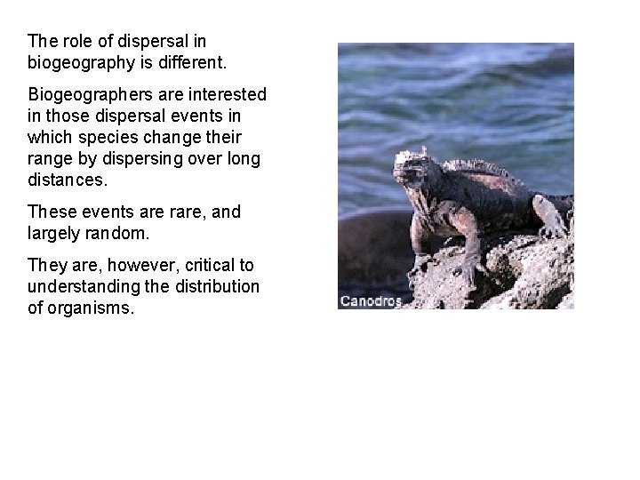 Dispersal and Immigration There are several fundamental processes