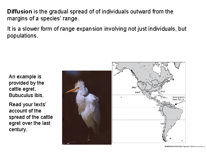 Dispersal and Immigration There are several fundamental processes