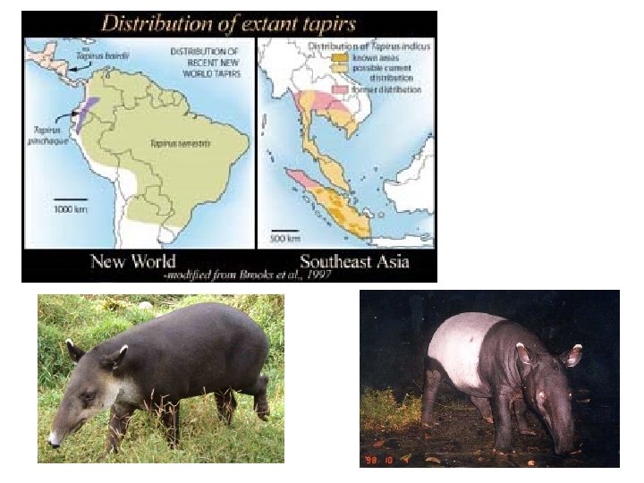 Dispersal and Immigration There are several fundamental processes