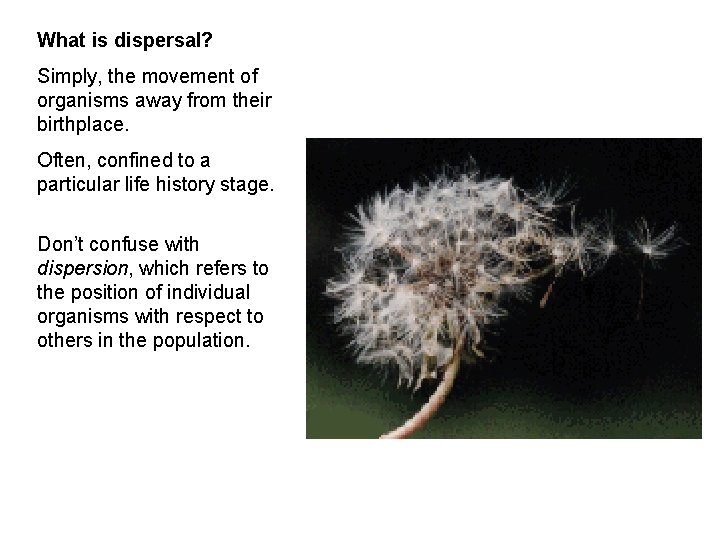 Dispersal and Immigration There are several fundamental processes