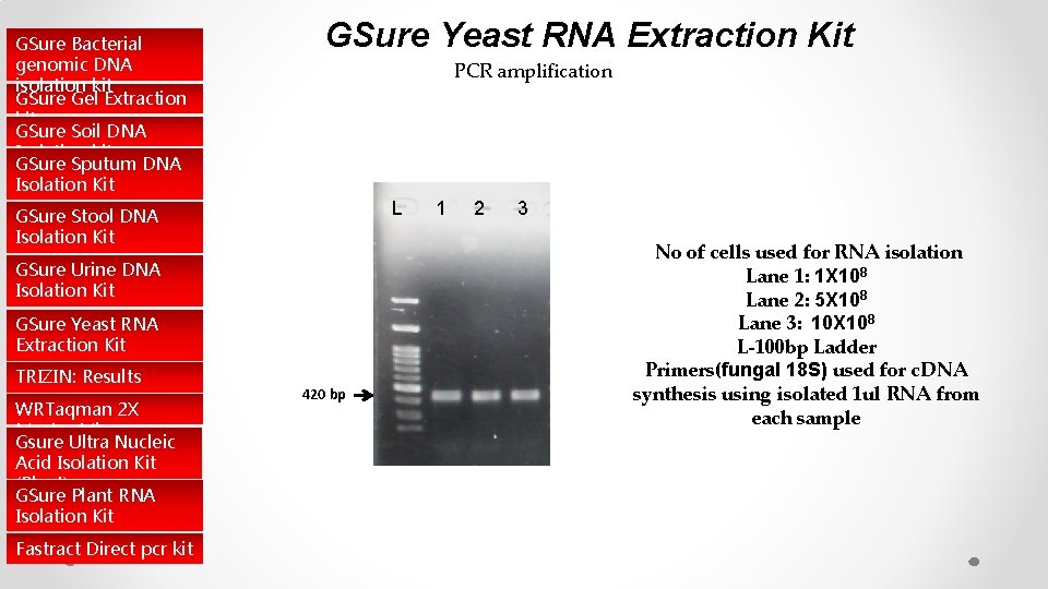 GSure Bacterial genomic DNA isolation kit GSure Gel