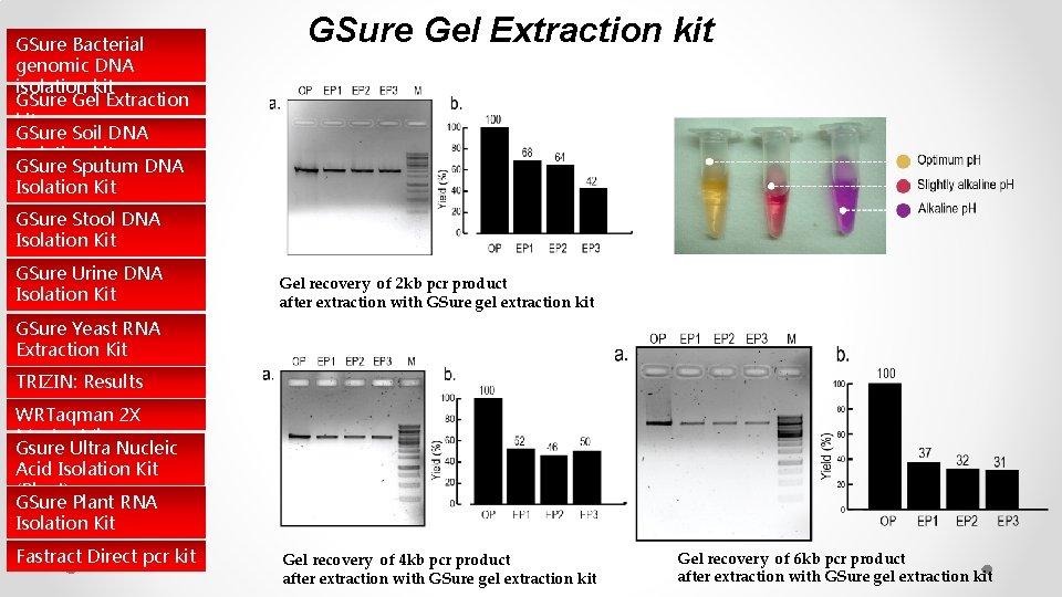 GSure Bacterial genomic DNA isolation kit GSure Gel
