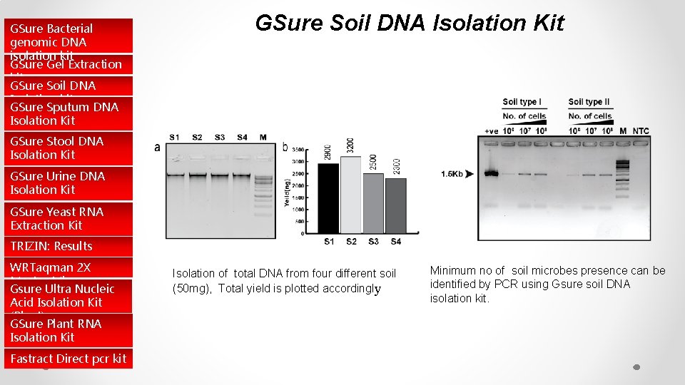 GSure Bacterial genomic DNA isolation kit GSure Gel
