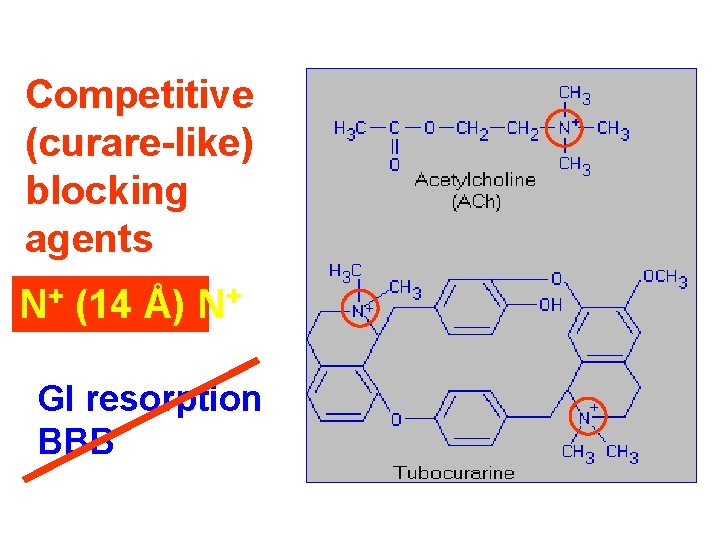 Medical University of Sofia Faculty of Medicine Department