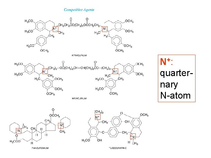 Medical University of Sofia Faculty of Medicine Department