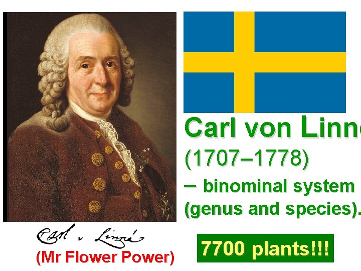 Medical University of Sofia Faculty of Medicine Department