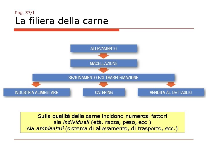2 1 La carne e i salumi Pag
