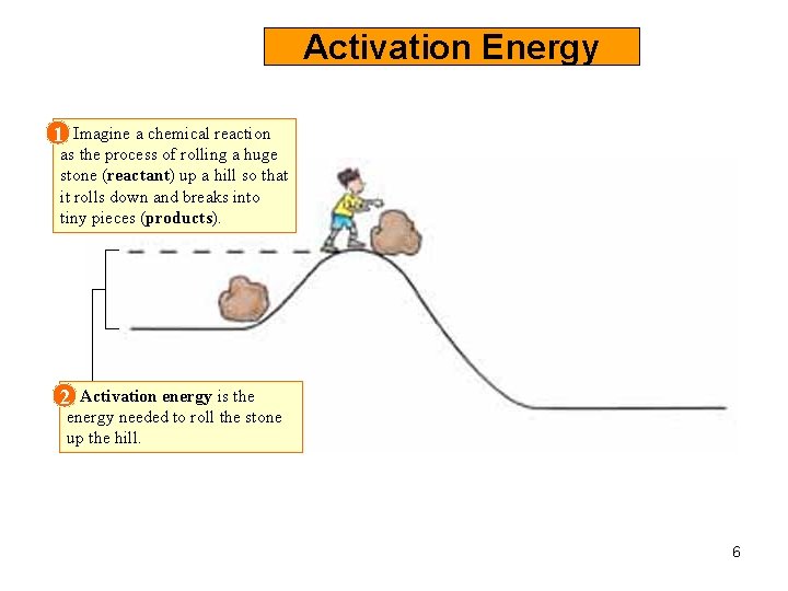 Chapter 5 Enzymes What Are Enzymes Classification of
