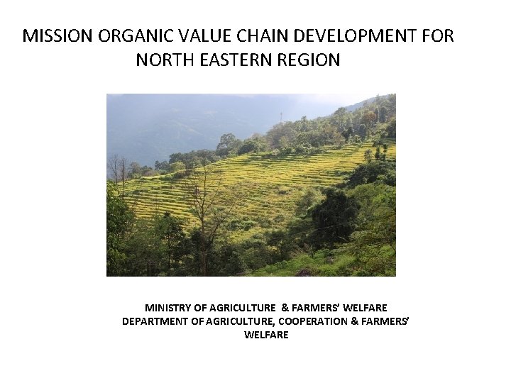 MISSION ORGANIC VALUE CHAIN DEVELOPMENT FOR NORTH EASTERN