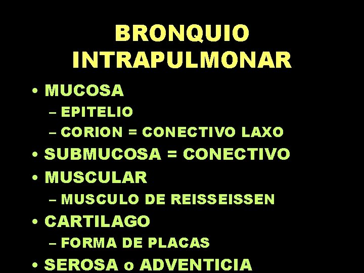 APARATO RESPIRATORIO CLASIFICACION DE LAS VIAS AEREAS VIA