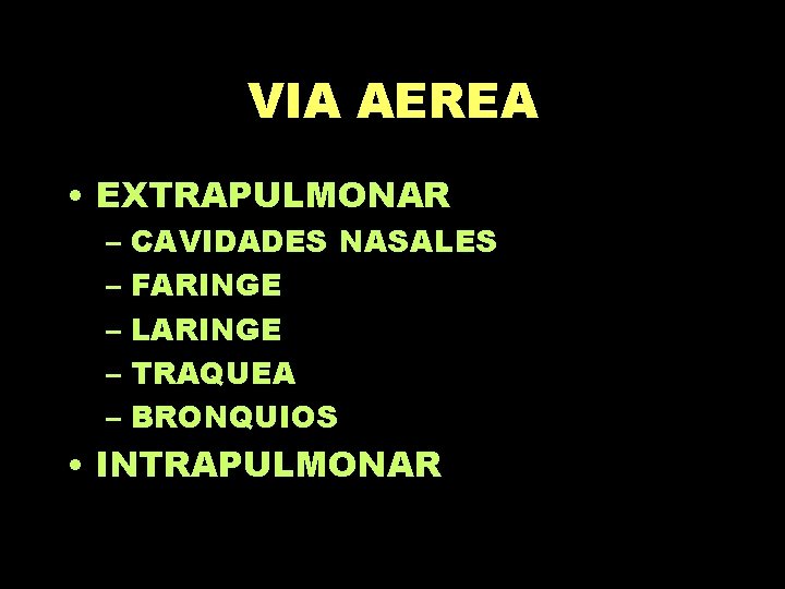 APARATO RESPIRATORIO CLASIFICACION DE LAS VIAS AEREAS VIA