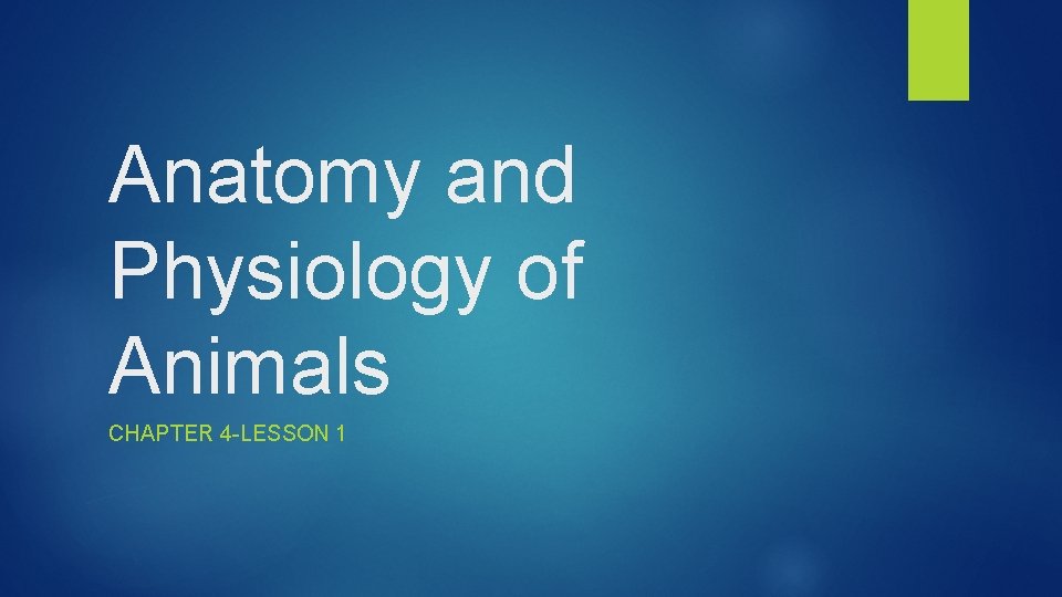 Anatomy and Physiology of Animals CHAPTER 4 LESSON
