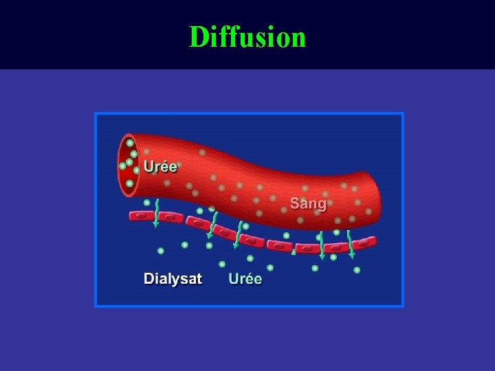 La Dialyse Pritonale Dr R Milongo AGDUC La