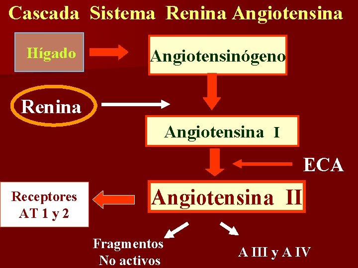IECA e Hipertensin Arterial Dra Mirtha Pinal Borges
