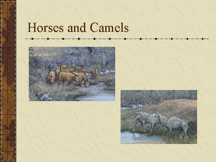 The Prehistoric Indian Cultures Essential Question What were