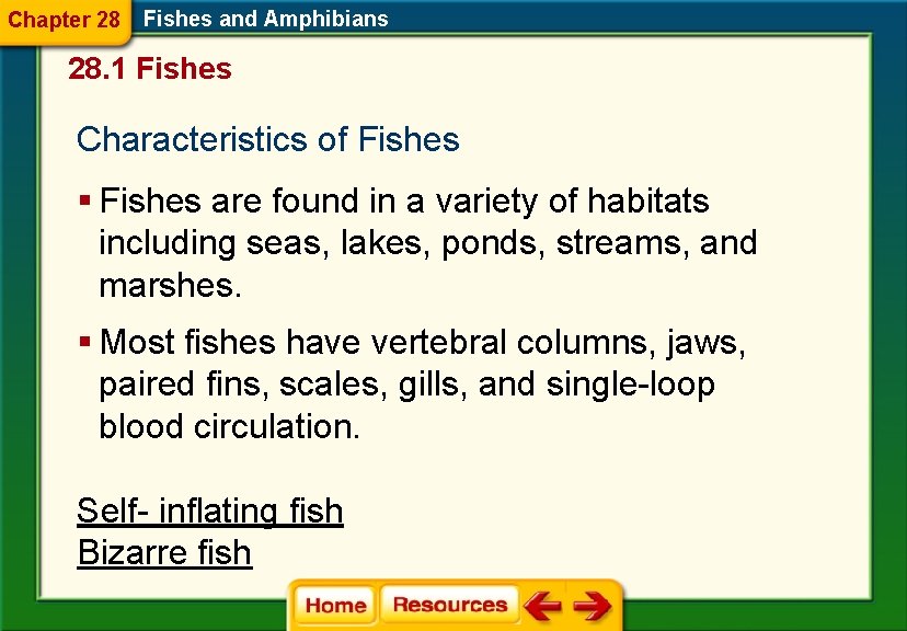 Chapter 28 Fishes and Amphibians Section 1 Fishes