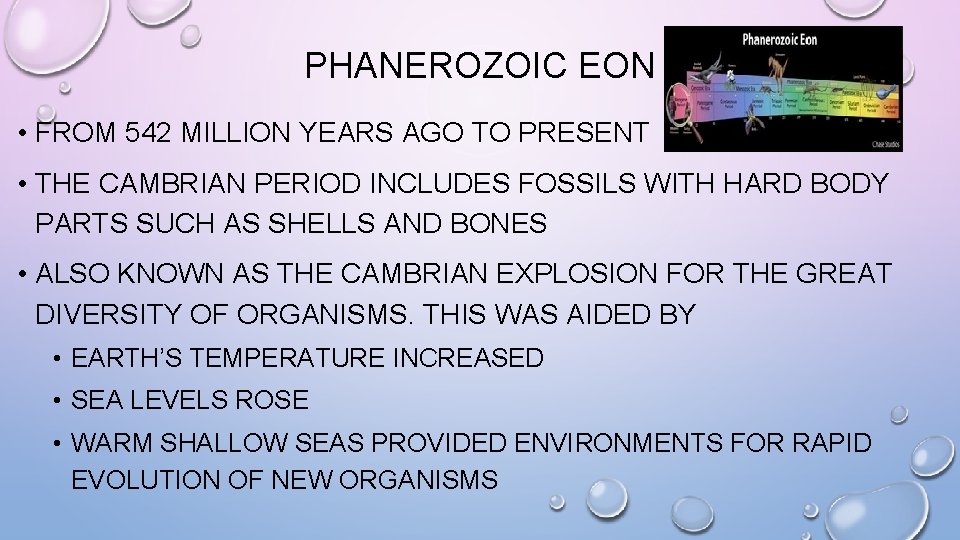 GEOLOGIC TIME FLIP CHART RUBRIC POINTS AND EXPECTATIONS