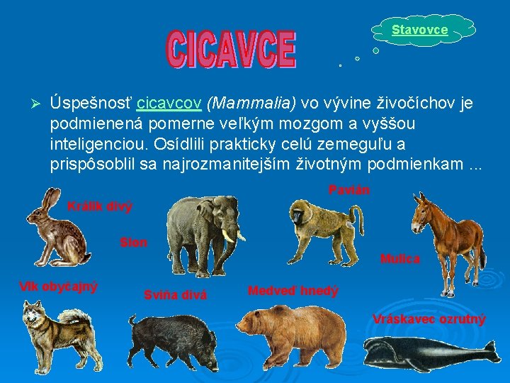 1 vod 2 Stavovce 3 Kruhostnice 4 Drsnokoce