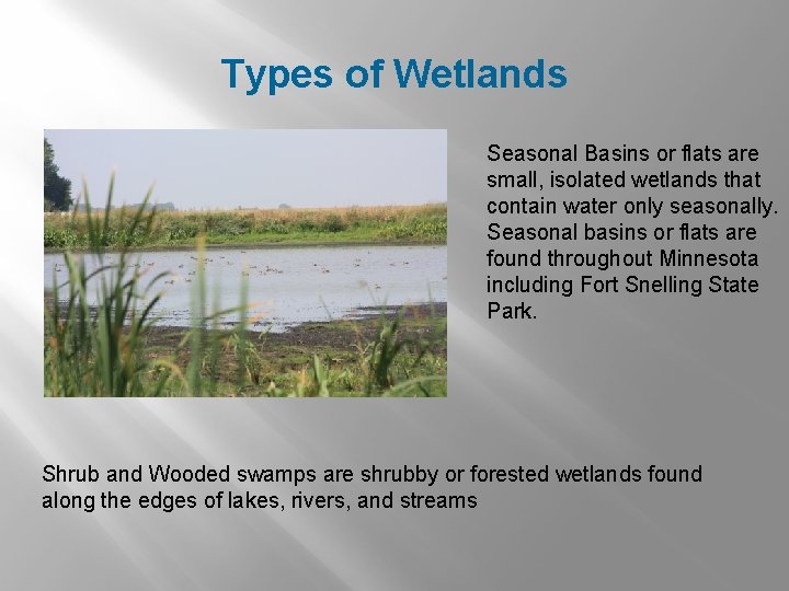 WETLANDS IN THE MINNESOTA RIVER BASIN Types of