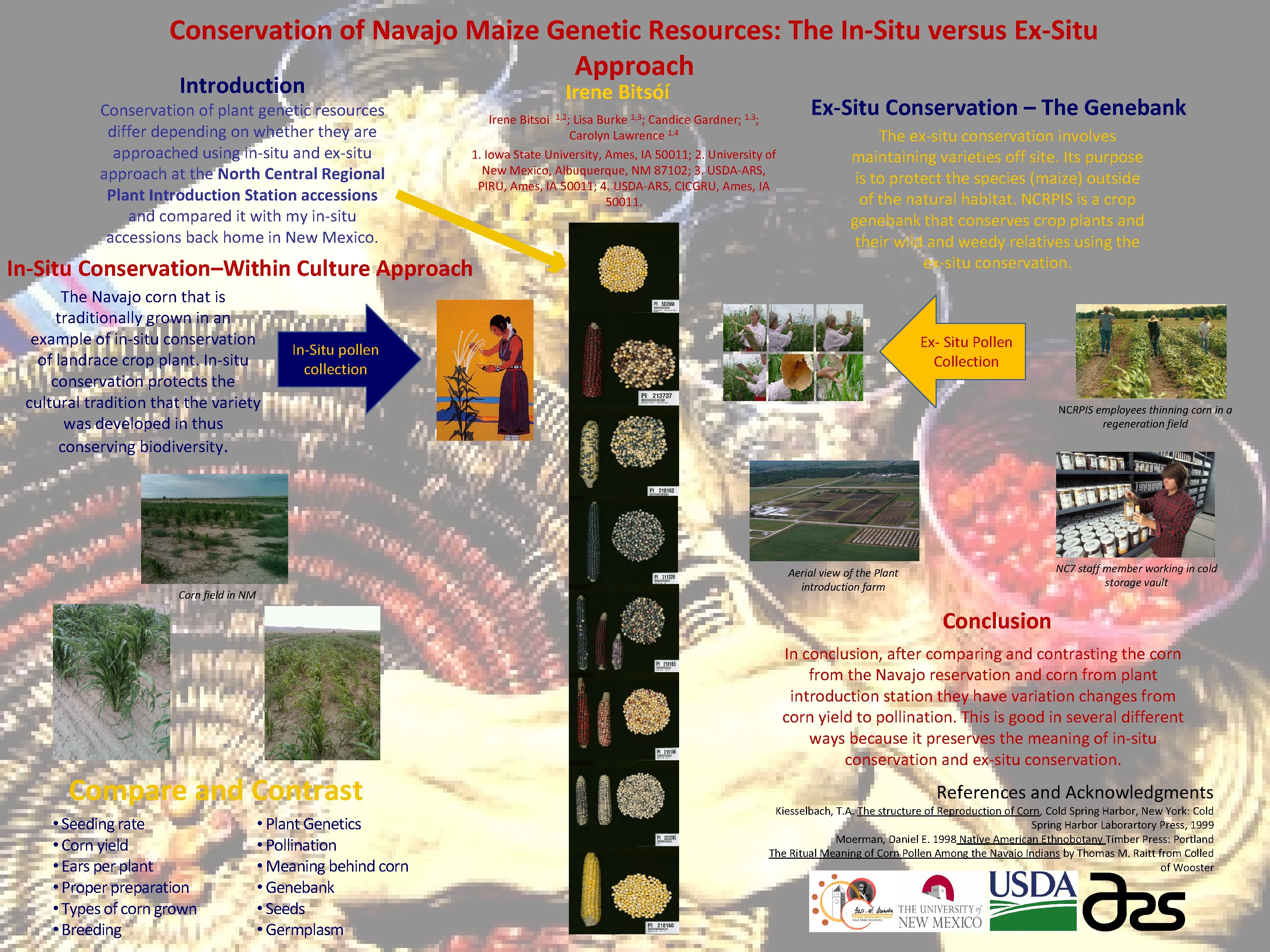 Conservation of Navajo Maize Genetic Resources The InSitu