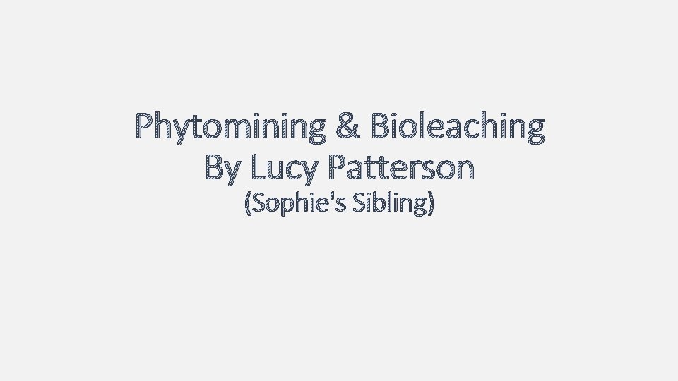 Phytomining Bioleaching By Lucy Patterson Sophies Sibling This