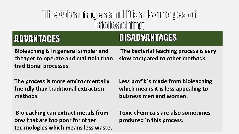 Phytomining Bioleaching By Lucy Patterson Sophies Sibling This