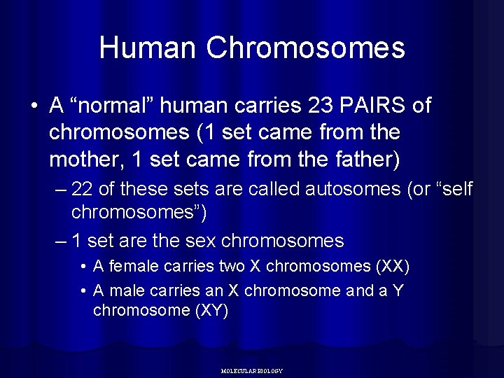 Human Chromosomes Identification by GBanding Karyotyping Mazen Zaharna