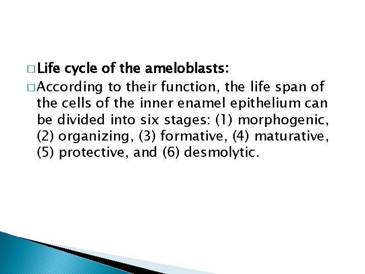 amelogenesis Life cycle of the ameloblasts According to