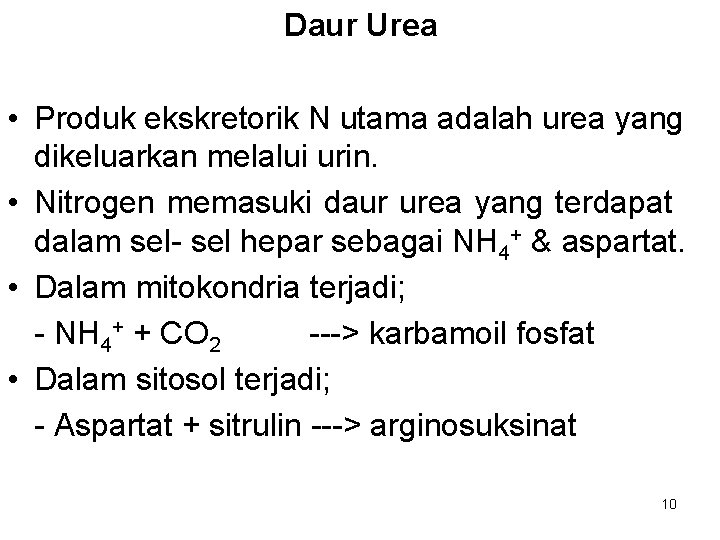 METABOLISME PROTEIN Pendahuluan Metabolisme asam amino bersifat lebih