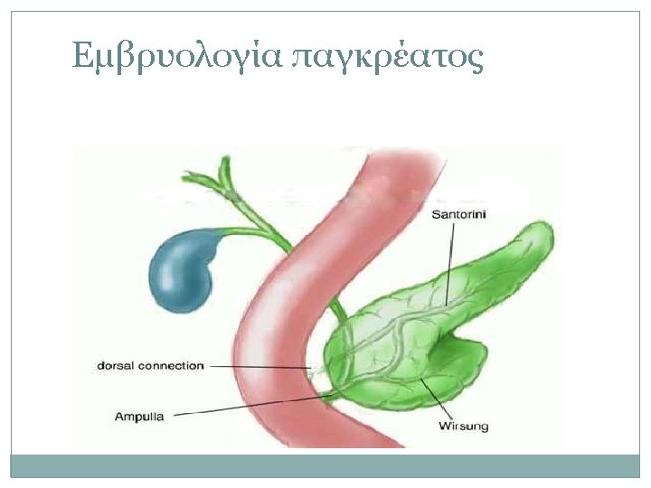 Biliary Tract Intra hepatic ducts Exta hepatic ducts