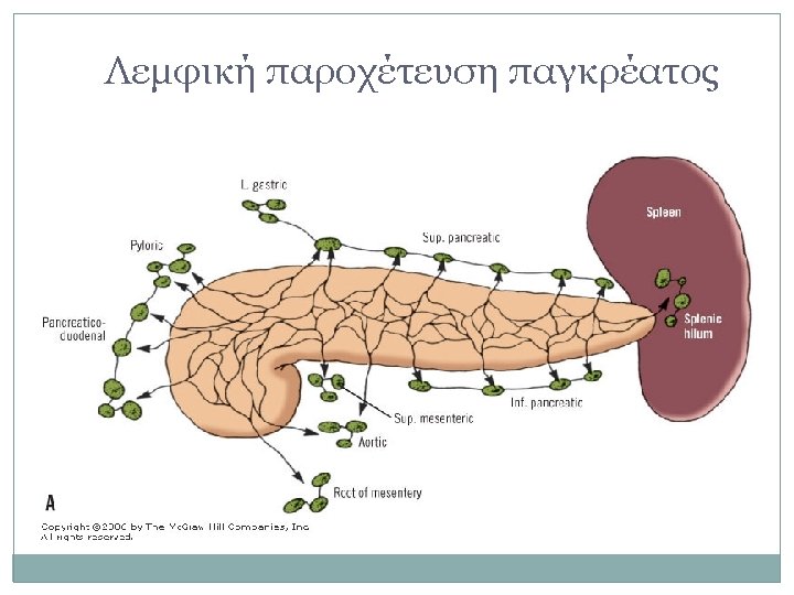 Biliary Tract Intra hepatic ducts Exta hepatic ducts