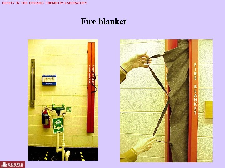 SAFETY IN THE ORGANIC CHEMISTRY LABORATORY SAFETY IN