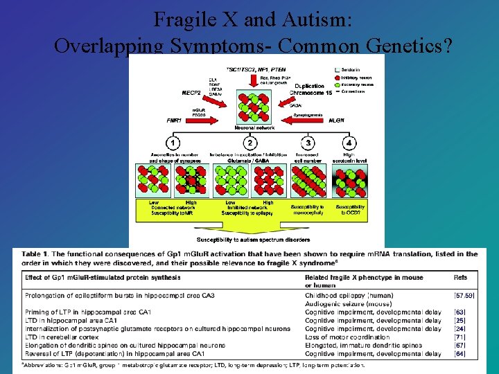 Autism and Fragile X Syndrome Genetic and Neurobiological