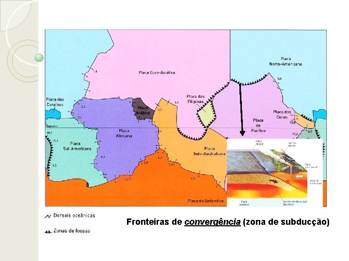 Teoria da Tectnica de Placas O interesse pela