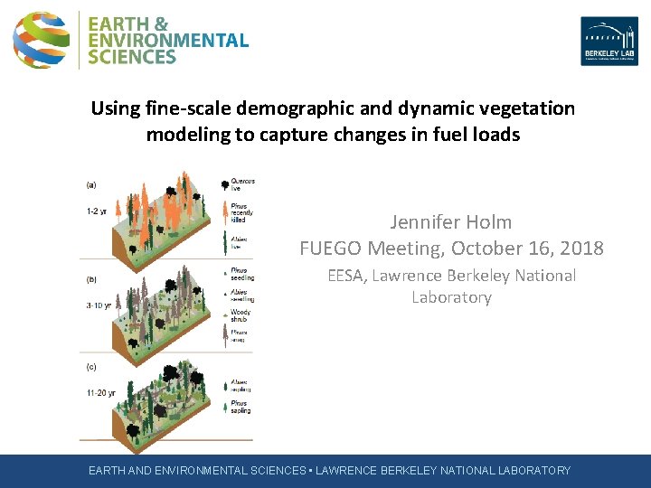 Using finescale demographic and dynamic vegetation modeling to