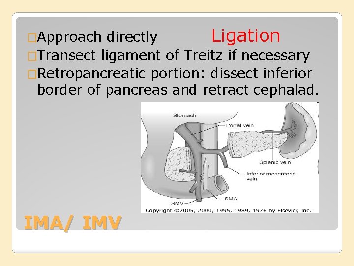 Celiac Artery Mesenteric Vessels Injuries Martha A Quiodettis