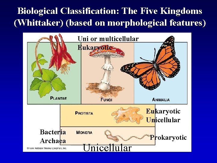 Introduction and Overview of General Microbiology Lecture 1